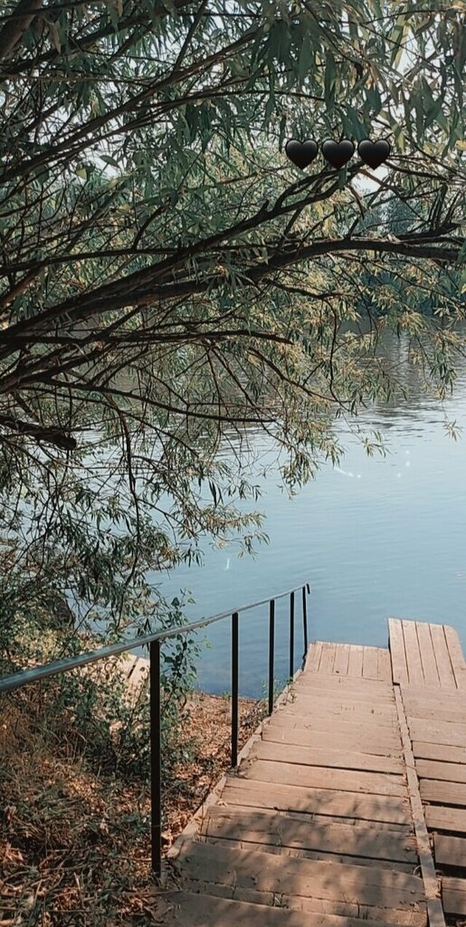 i̇skele Jetty , Novosibirskaya oblastı, foto