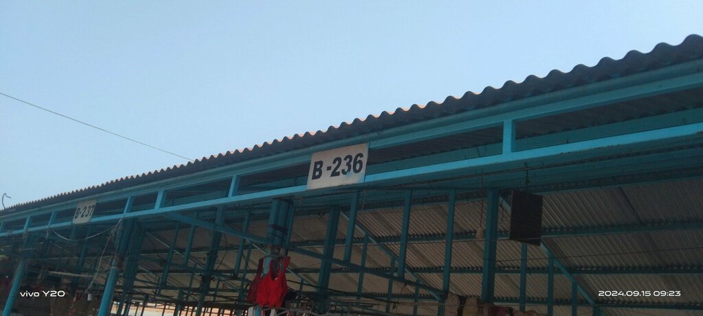 i̇ç giyim ve mayo mağazası B-236 Garments, Islamabad, foto