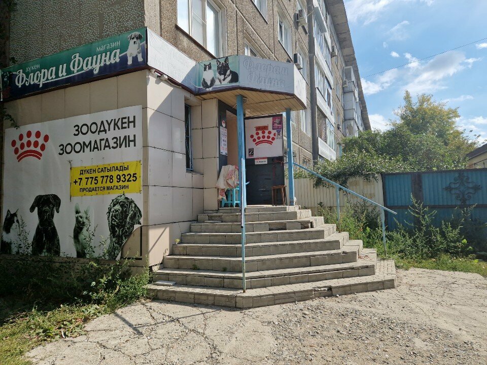 Petshop Flora i Fauna, Öskemen (Ust‑Kamenogorsk), foto