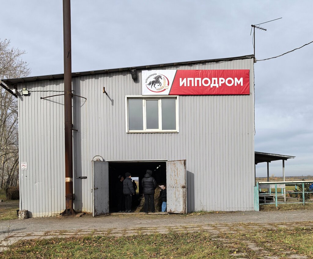 Hipodromlar Concordia, Krasnoyarski krayı, foto