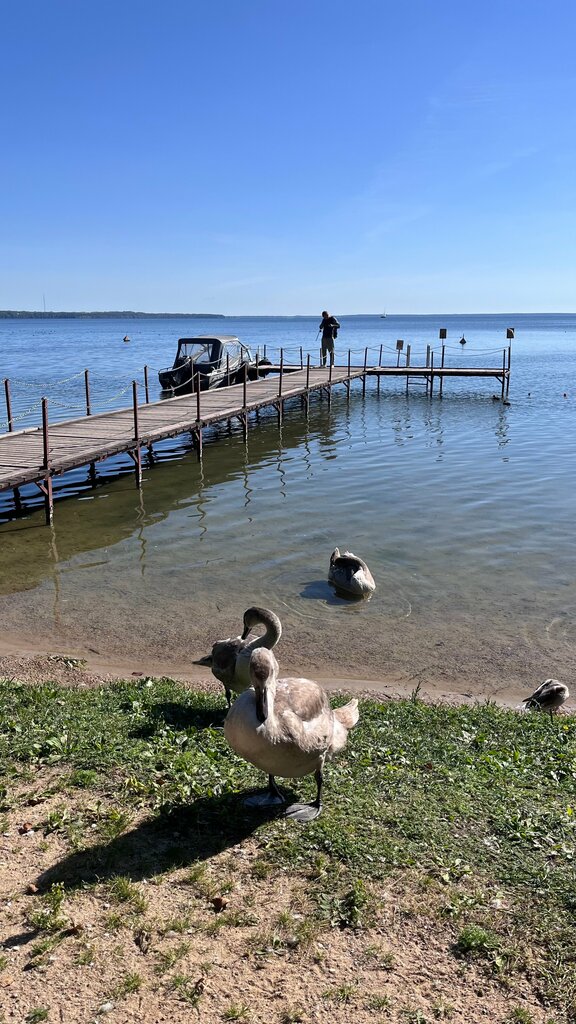 i̇skele Jetty , Minskaya oblastı, foto