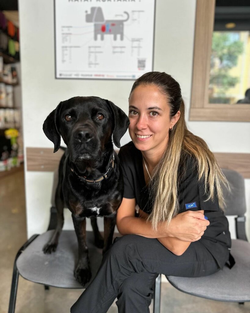 Veteriner klinikleri Patika Veteriner Kliniği, Ankara, foto
