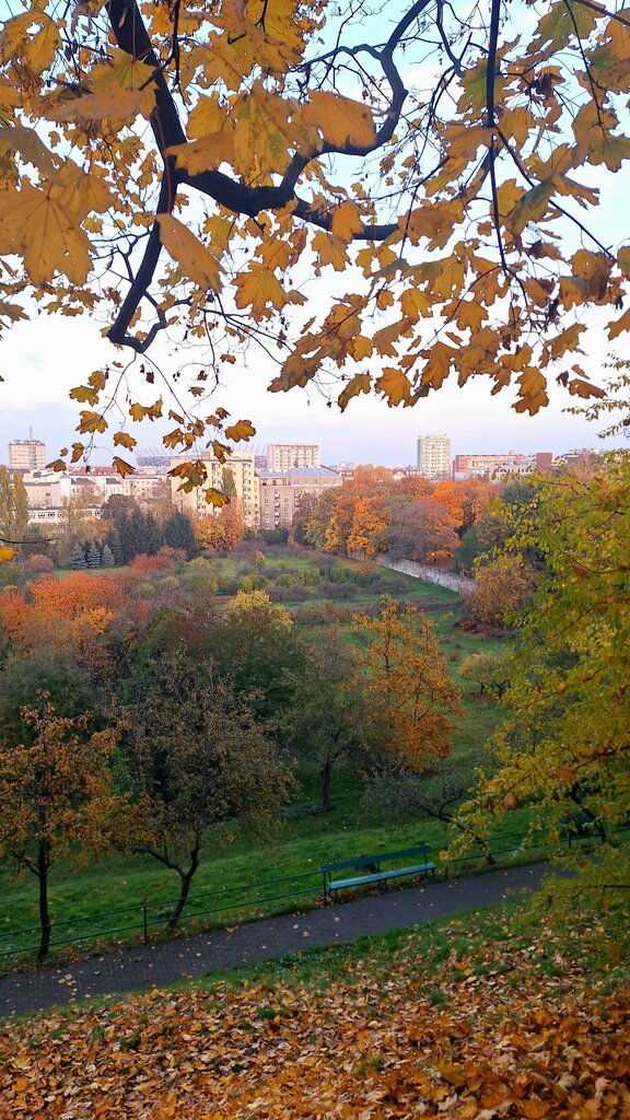 Kültür ve eğlence parkları Skwer Anki Kowalskiej, Varşova, foto