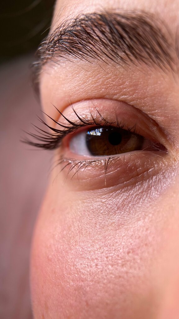 Kaş ve kirpik salonu Bodukhina_brows Studio, Saint‑Petersburg, foto