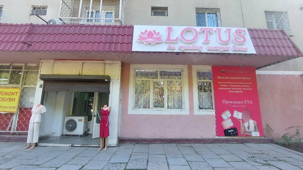 i̇ç giyim ve mayo mağazası Lotus, Taraz, foto