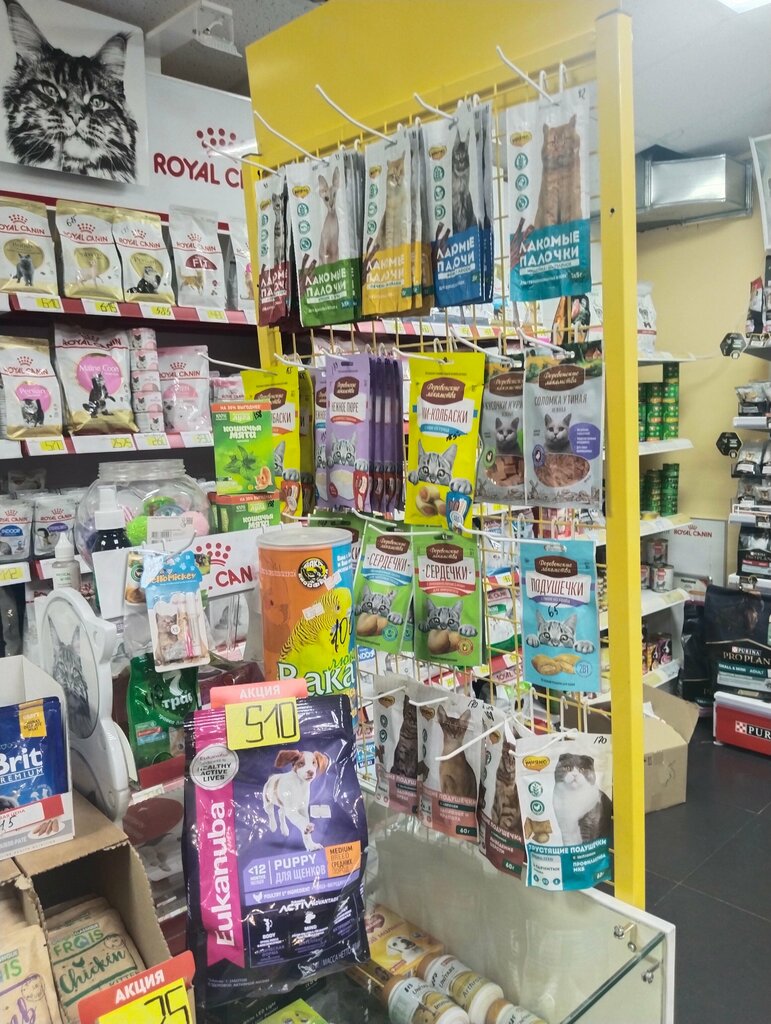 Petshop Zooмир, Kaluga, foto