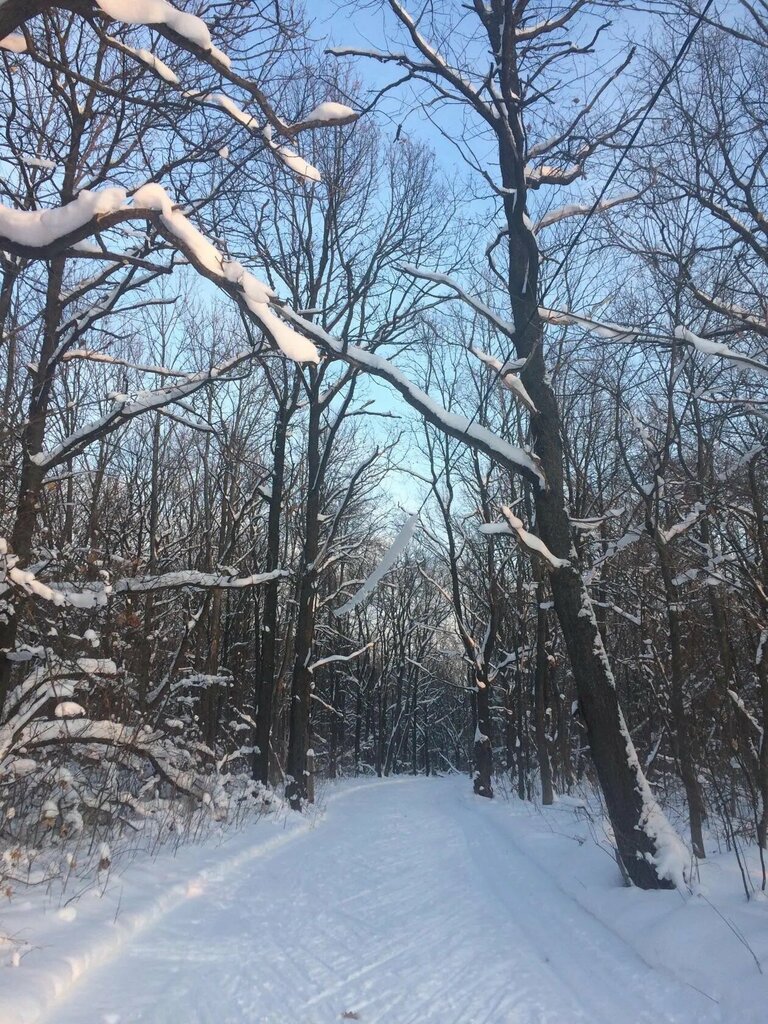 Kayak merkezleri Лыжная база, Riazanskaya oblastı, foto
