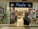 Lively (Etiler Mah., Ayaş Ankara Yolu Blv., No:93, Etimesgut, Ankara), züccaciye mağazaları  Ankara'dan