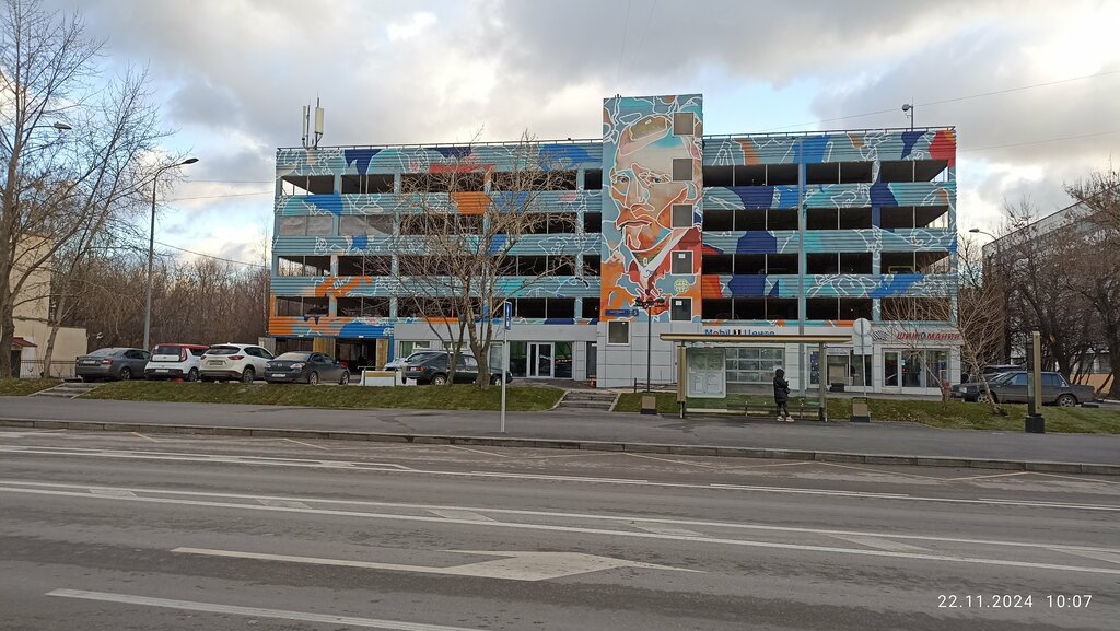 Sokak sanatı Винсент, Moskova, foto
