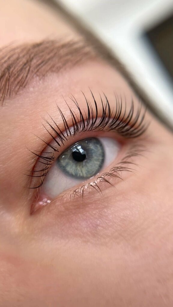 Kaş ve kirpik salonu Eyebrow And Eyelash Studio, Moskova, foto