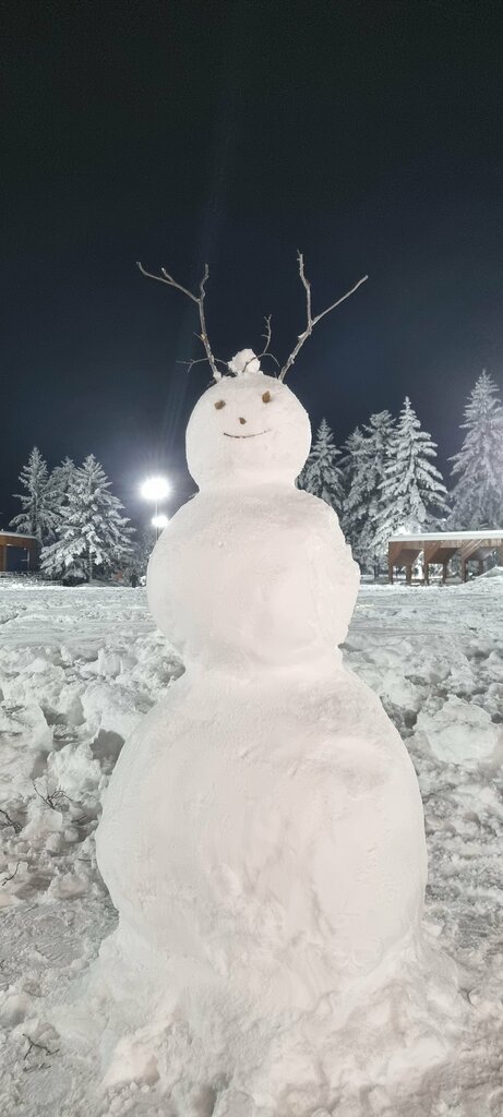 Kültür ve eğlence parkları сквер Ветеранов боевых действий, Svobodniy, foto