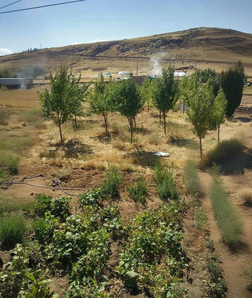 Muhtarlıklar Gedikpınar Köy Muhtarlığı, Güroymak, foto