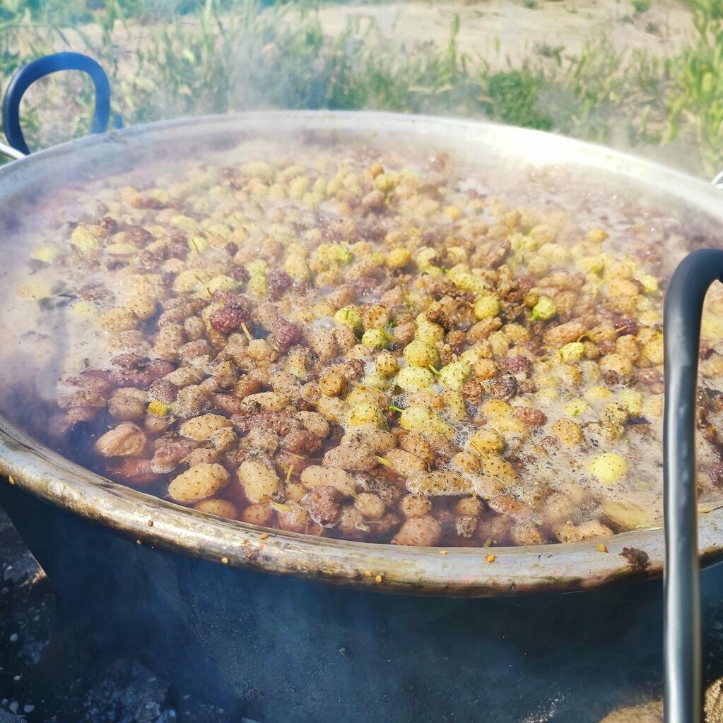 Muhtarlıklar Karasapaça Köyü Muhtarlığı, Tosya, foto