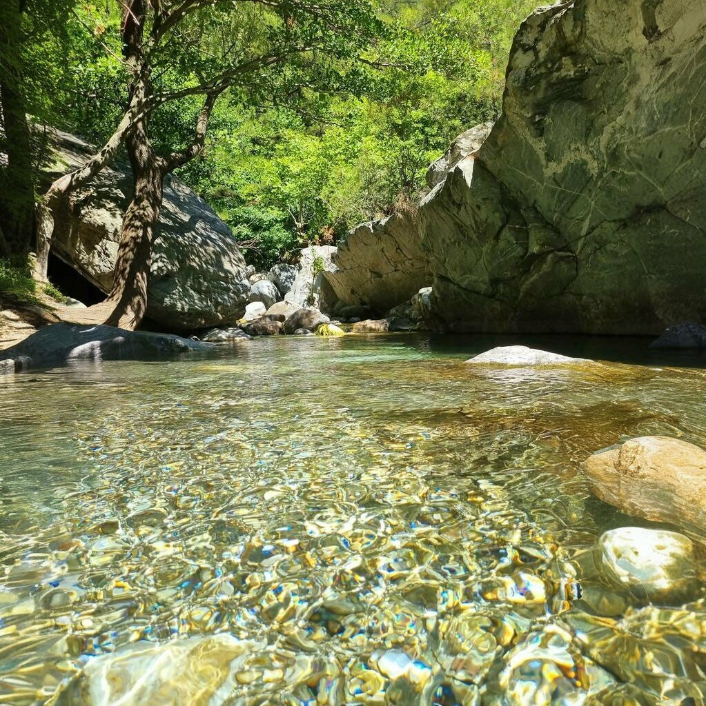 Cami Çamlık Cami, Ayvalık, foto