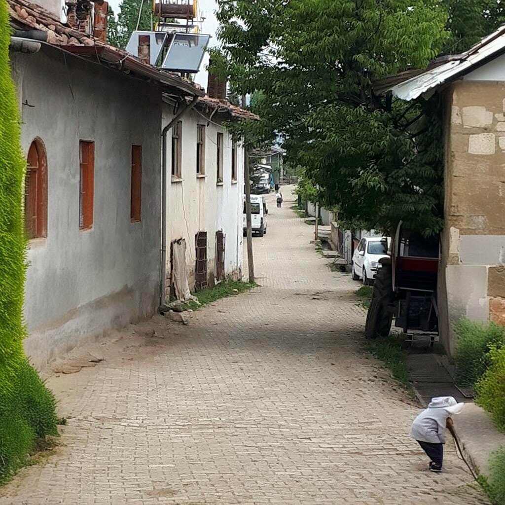 Muhtarlıklar Aydınsofu Köy Muhtarlığı, Erbaa, foto