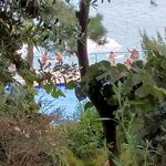 Erkayalar Tatil Sitesi (İstanbul, Silivri, Cumhuriyet Mah., Manolya Cad., 10B6), konut blokları  Silivri'den