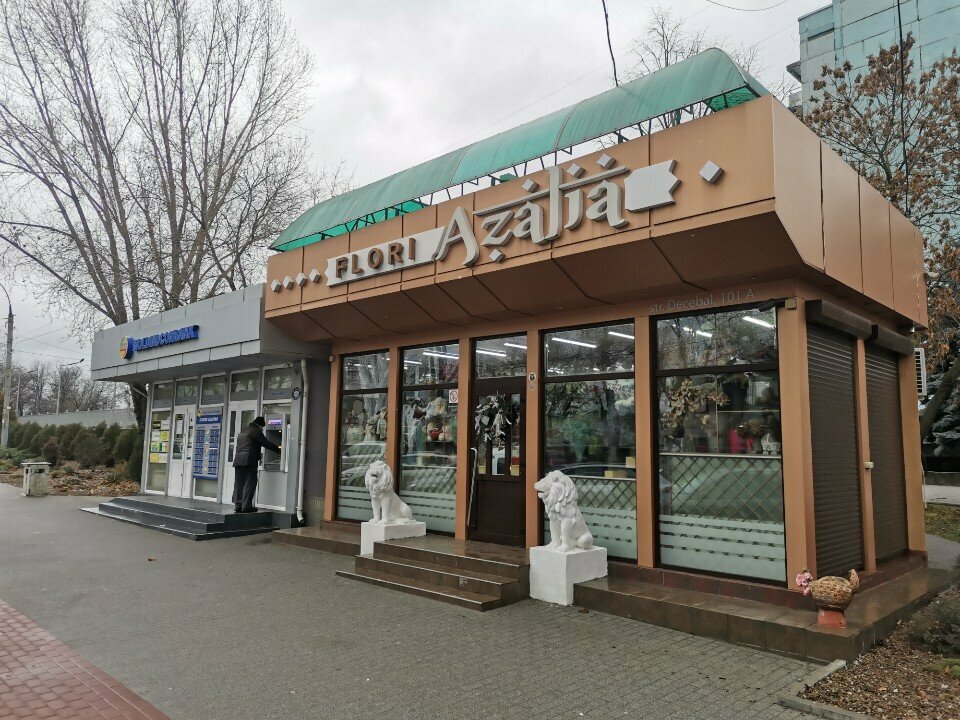 Çiçekçiler Azalia, Beltsi, foto
