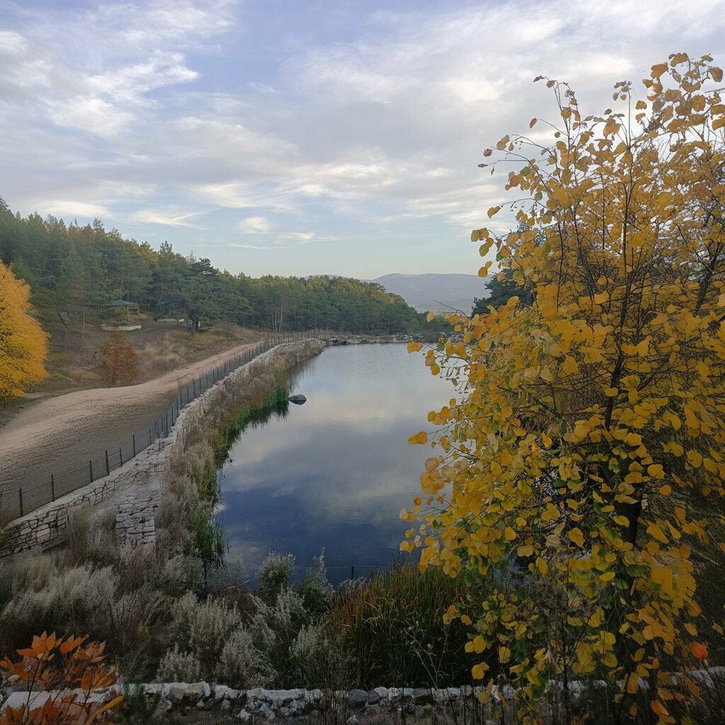 Piknik alanı Hasanşeyh Mesire Alanı, Reşadiye, foto