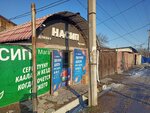 Nasip (Gogol Street No:11, Alamudun Village), market  Çuy ili'nden