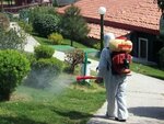 Eskişehir Haşere İlaçlama (Eskişehir, Tepebaşı, Güllük Mah., Emir Sok., 9), haşere ilaçlama firmaları  Eskişehir'den