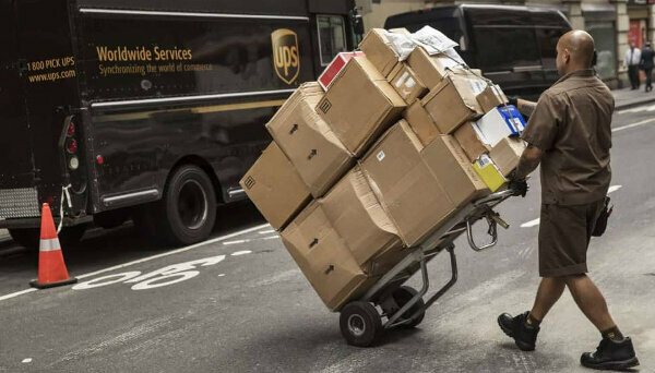 Kargo firmaları Move One Moving and Storage Pet Shipping -, Almatı, foto