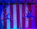 Sharm Circus School Dubai (5, 15A Street, Al Quoz Industrial 1, Al Quoz Industrial, Hadaeq Mohammed Bin Rashid, Dubai), spor okulları