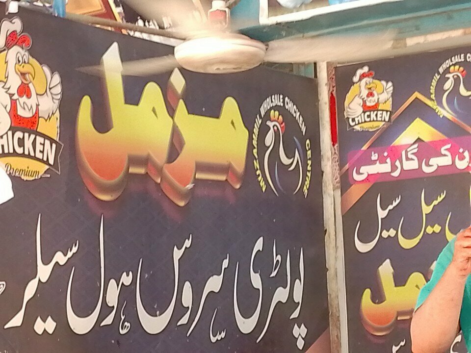 Kanatlı hayvan ürünleri ve yumurta Muzammil poultry service wholesale, Karaçi, foto