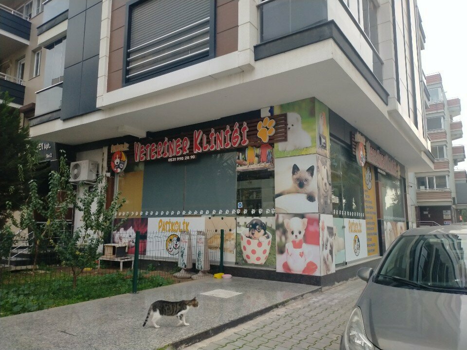 Veteriner klinikleri Patikolik, İzmir, foto