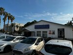 Akdeniz Böbrek Hastalıkları ve Organ Nakli Sosyal Yardımlaşma Derneği (Pınarbaşı Mah., Konyaaltı, Antalya), sosyal grup  Antalya'dan