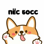 Pes Boss (ulitsa imeni G.K. Ordzhonikidze No:1стр3), evcil hayvan kuaförleri  Saratov'dan