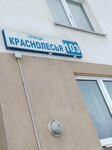 Школа скорочтения и развития памяти по методике Васильевой Л.Л. (Krasnolesya Street No:103), çocuk gelişim merkezleri  Yekaterinburg'dan