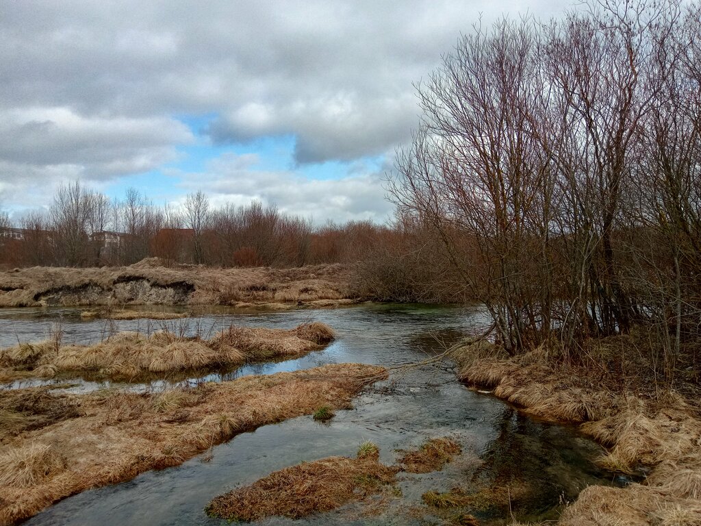 Pınar, çay Spring, stream, Saint‑Petersburg ve Leningradskaya oblastı, foto