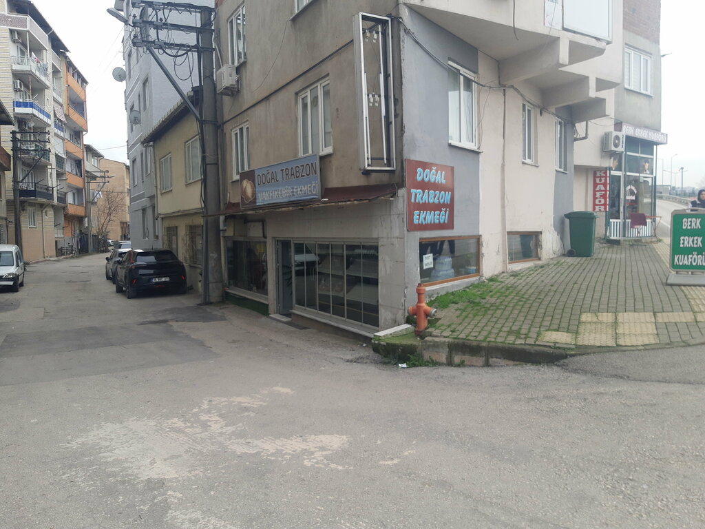 Veteriner klinikleri Uludağ Veteriner Kliniği, Bursa, foto