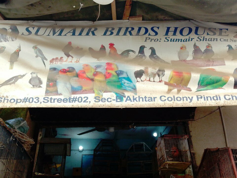 Petshop Sumair, Karaçi, foto