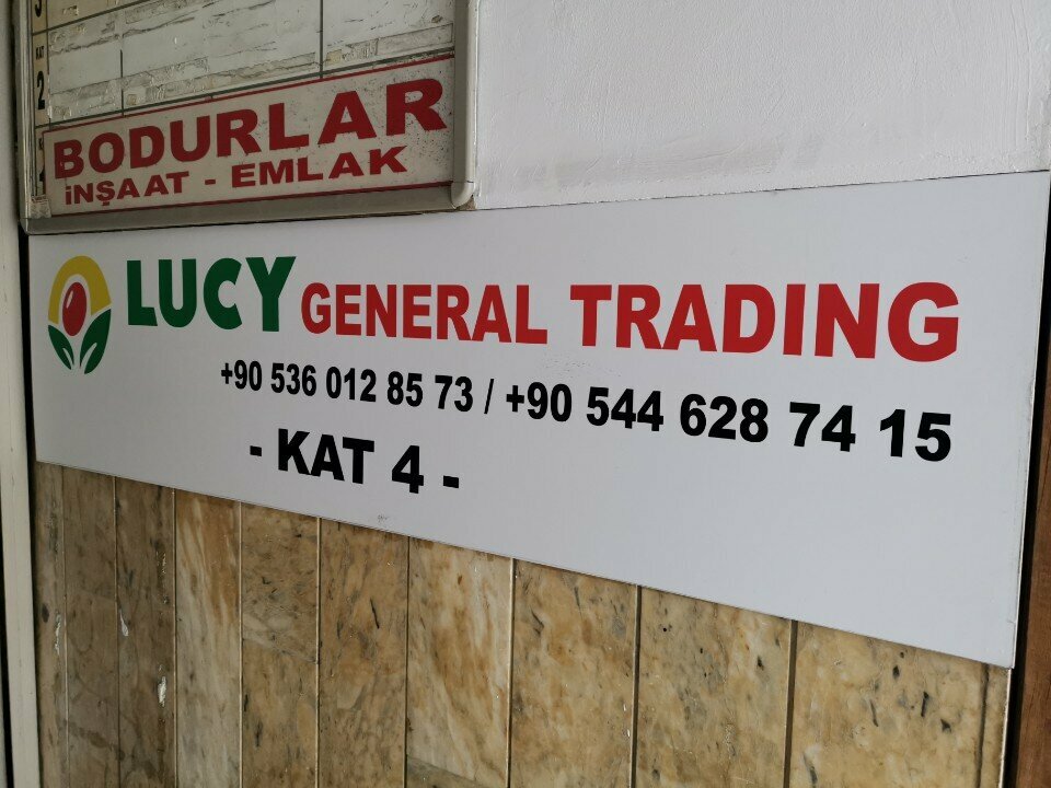 Lojistik firmaları Lucy General Trading, İstanbul, foto