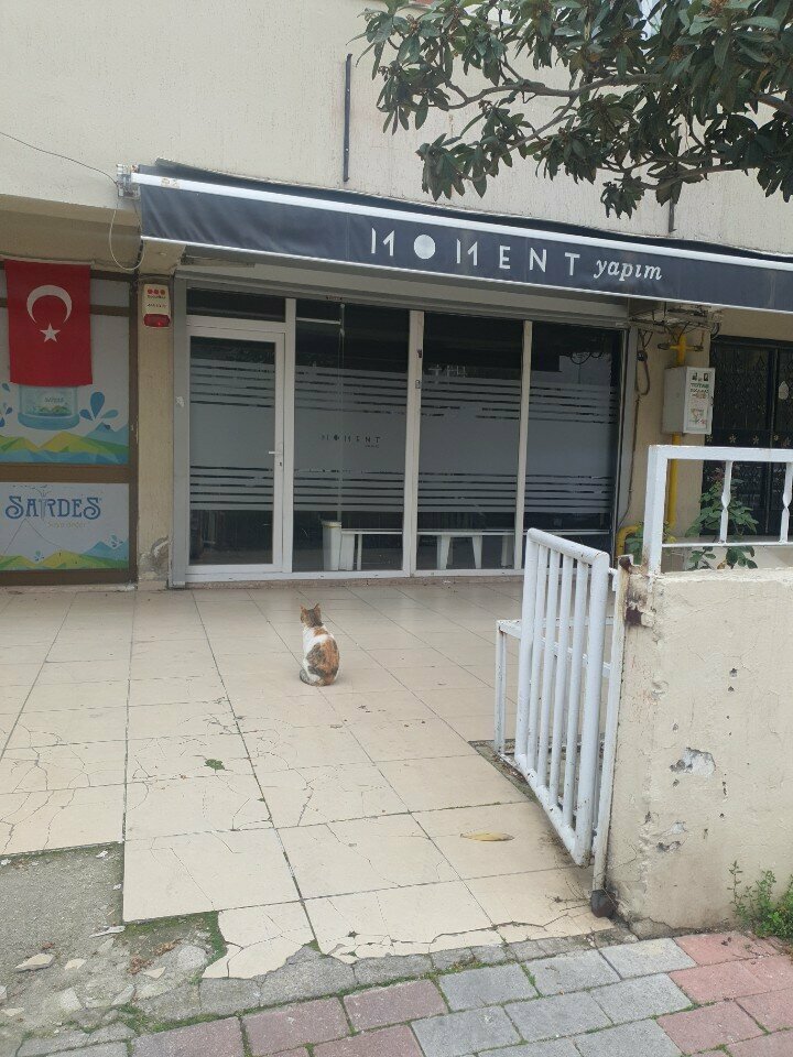 Video üretimi Moment yapım, İzmir, foto