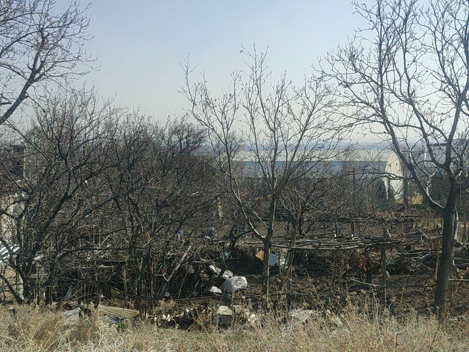 Peyzaj tasarımı Botanik Meram Çiçekçilik, Konya, foto