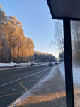Сосновый бор (Perm, Dokuchaeva Street), toplu taşıma durağı  Perm'den