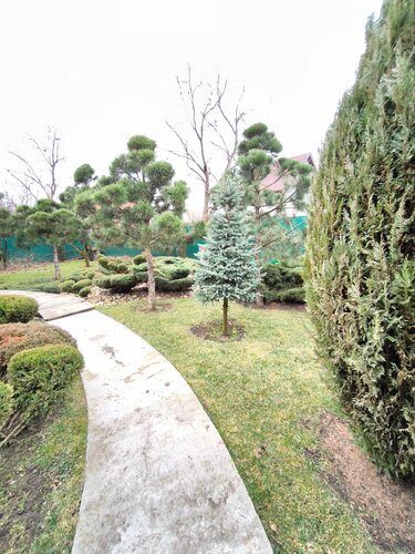 Konuk evi Pinebrook, Rostovskaya oblastı, foto