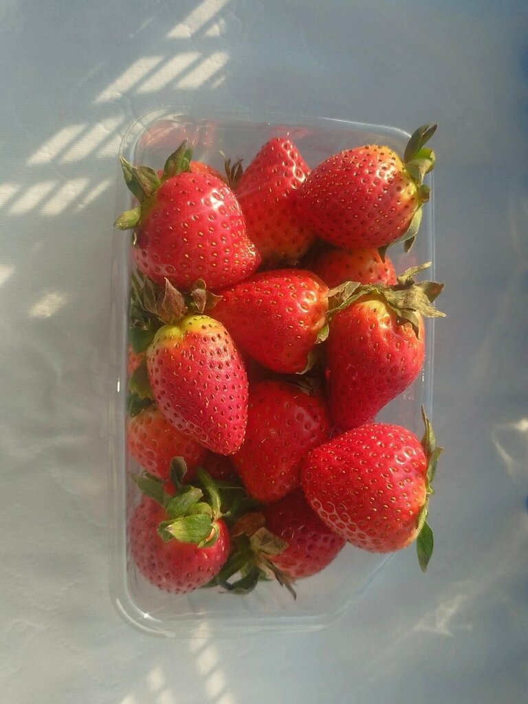 Manavlar Фруктовый рай, Kursk, foto