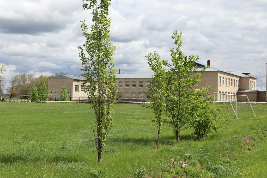 Meslek yüksekokulu Большеглушицкий государственный техникум, Samarskaya oblastı, foto