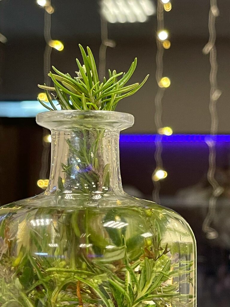 Kafe Еда хаус, Krasnodarski krayı, foto