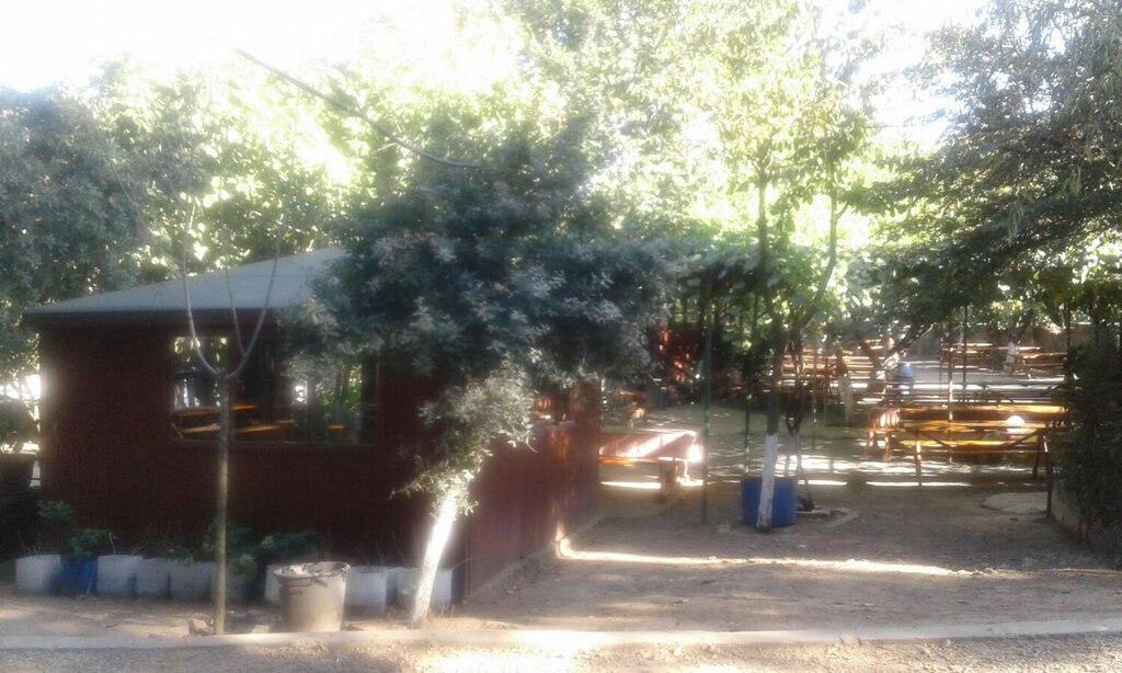 Piknik alanı Yeşil Vadi Kır Evi, İstanbul, foto