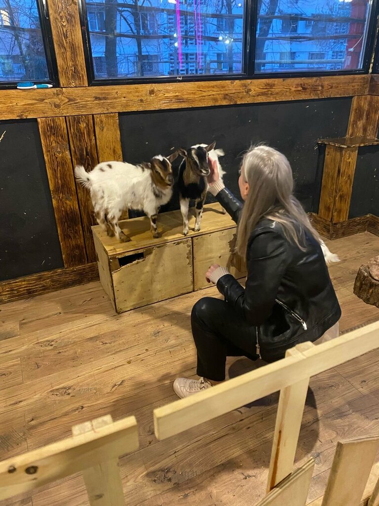 Kafe Кофе&Кролик, Soçi, foto