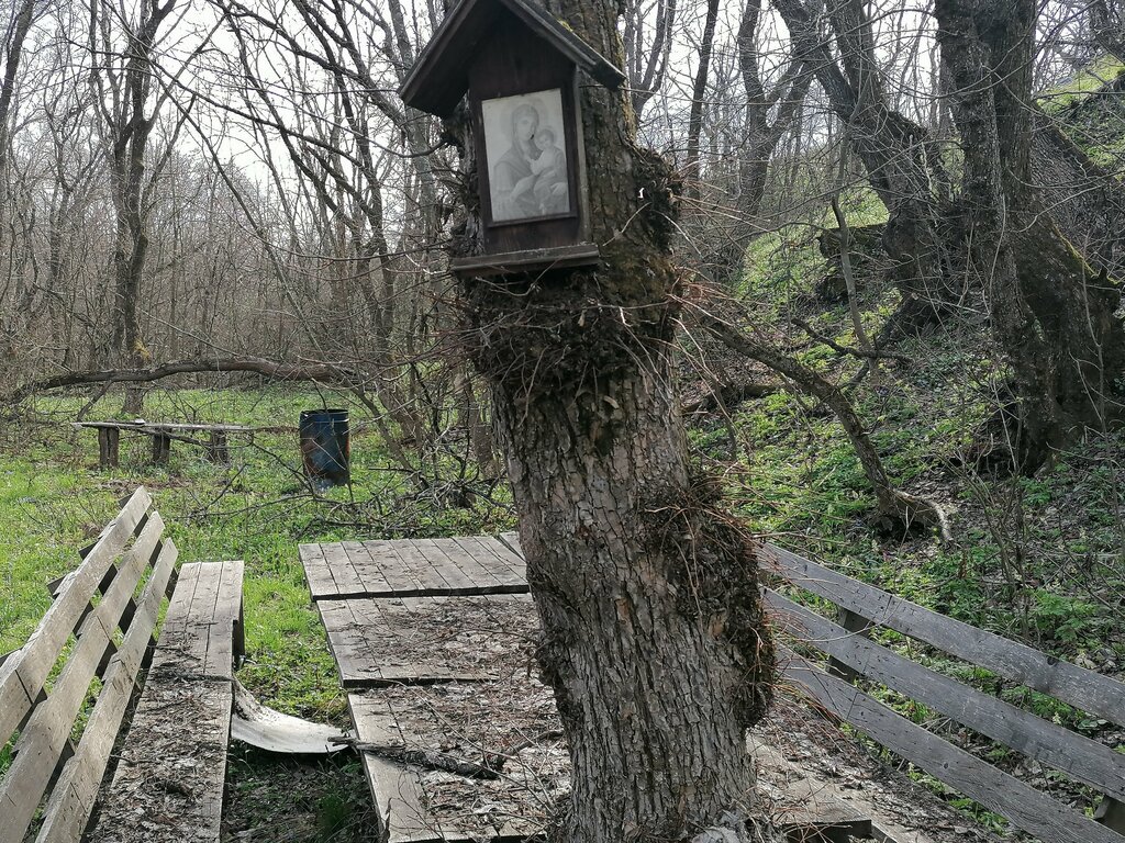 Pınar, çay Spring, stream, Rostovskaya oblastı, foto