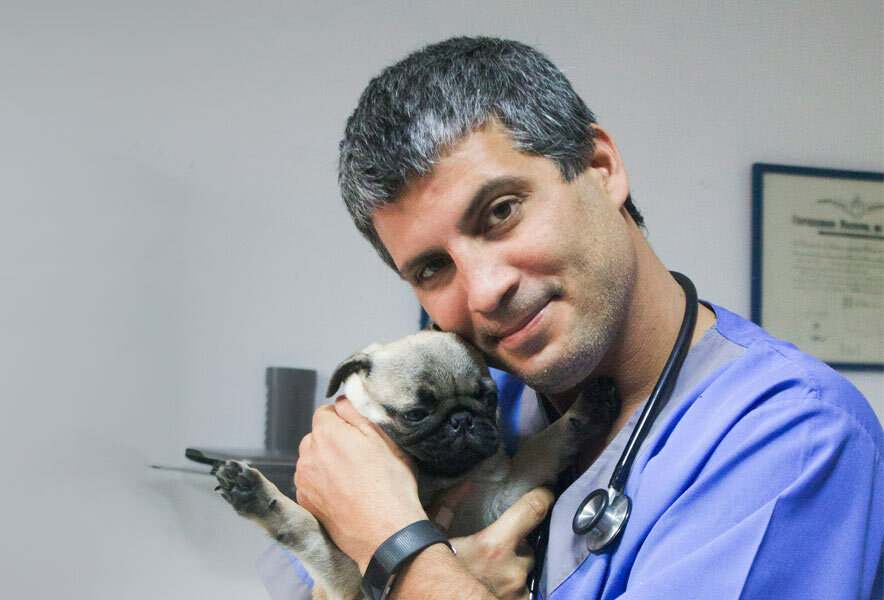 Veteriner klinikleri Veterinaria Cavero, Lima, foto