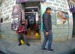 Barber Shop Frank (Department of La Paz, Provincia Murillo, La Paz, Calle Murillo, 764), berberler  Bolivya'dan