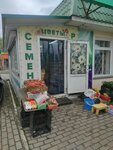 Семена (Zheleznodorozhnaya ulitsa No:6), bahçecilik mağazaları  Obninsk'ten