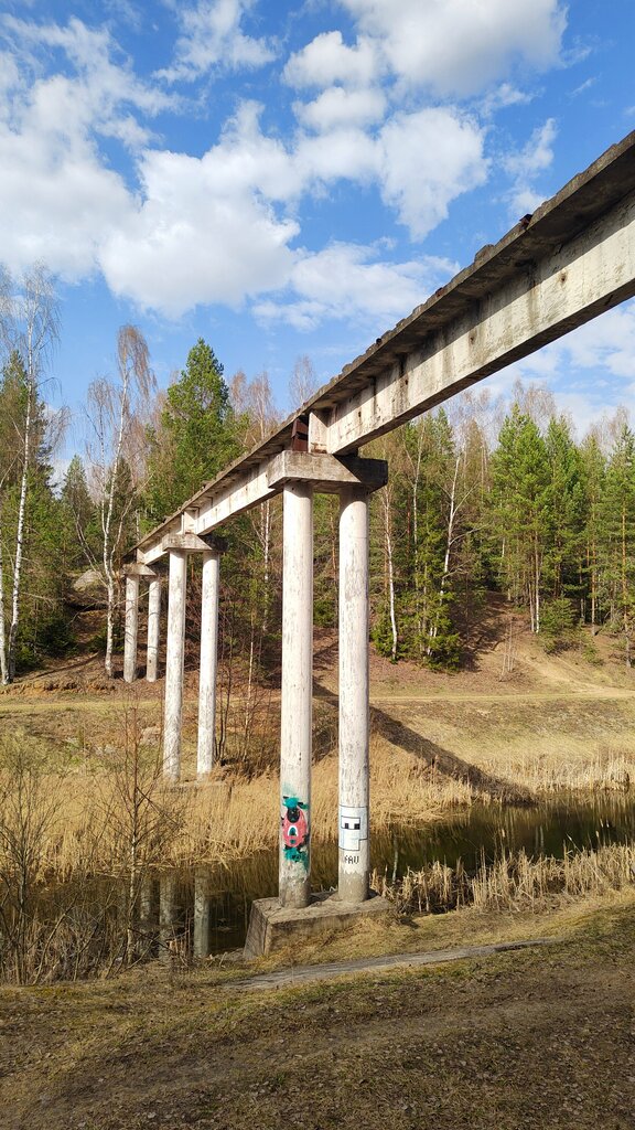Motosiklet pisti Мотокросс Узкоколейка, İvanovskaya oblastı, foto