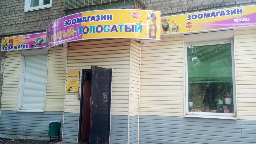 Petshop Усатый-Полосатый, Voronej, foto